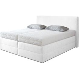 Westfalia Schlafkomfort Boxspringbett wahlweise mit Kaltschaum-Topper wei&szlig; Microvelours (100% Polyester) Microvelours Kaltschaum-Topper, Liegefl&auml;che B/L: 180cm x 200cm, 