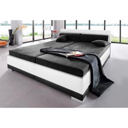 Maintal Polsterbett Kunstleder, in 6 verschiedenen Ausf&uuml;hrungen, Made in Germany schwarz-wei&szlig; Liegefl&auml;che L&auml;nge B: 200cm x 180cm, Kunstleder, H&ouml;he Bett: 42cm 