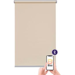 SUNLINES Elektrisches Rollo &raquo;Las Vegas&laquo; verdunkelnd Verdunkelung mit Bohren freih&auml;ngend appgesteuert via Bluetooth, mit Motor und Akku, silberner 