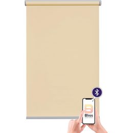 SUNLINES Elektrisches Rollo &raquo;Las Vegas&laquo; verdunkelnd Verdunkelung mit Bohren freih&auml;ngend appgesteuert via Bluetooth, mit Motor und Akku, silberner 