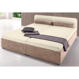 Maintal Polsterbett wahlweise mit Bettkasten beige Liegefl&auml;che L&auml;nge B: 200cm x 160cm, Microvelours, H&ouml;he Liegefl&auml;che: 42,00, Festpolsterung Festpolsterung