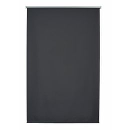 GOOD LIFE Seitenzugrollo &raquo;Amelie&laquo; verdunkelnd energiesparend mit Bohren 1 St&uuml;ck silber Polyester 180cm, 62cm