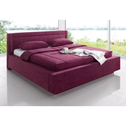 Westfalia Schlafkomfort Tagesdecke lila Polyester B/L: 210cm x 220cm