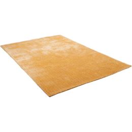 Gino Falcone Hochflor-Teppich &raquo;Alessandro&laquo; rechteckig 25 mm H&ouml;he besonders weich durch Microfaser, ideal im Wohnzimmer & Schlafzimmer gold Kunstfaser B : 80cm 1 