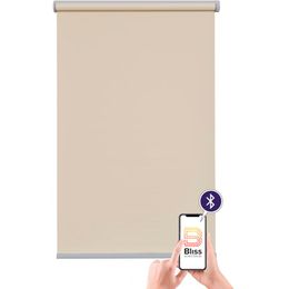 SUNLINES Elektrisches Rollo &raquo;Las Vegas&laquo; verdunkelnd Verdunkelung mit Bohren freih&auml;ngend appgesteuert via Bluetooth, mit Motor und Akku, silberner 