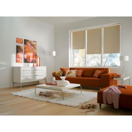 SUNLINES Elektrisches Rollo &raquo;New York&laquo; Lichtschutz Sichtschutz mit Bohren freih&auml;ngend appgesteuert via Bluetooth, mit Motor und Akku, wei&szlig;er Fallstab 