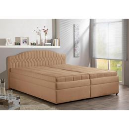 Maintal Polsterbett braun Liegefl&auml;che L&auml;nge B: 200cm x 200cm, ohne Fleckschutz, Bonnell-Federkernmatratze H2