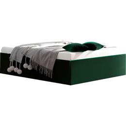 Westfalia Schlafkomfort Polsterbett &raquo;Amrum&laquo; in Samtvelours ohne Kopfteil, mit und ohne Bettkasten erh&auml;ltlich gr&uuml;n Bezug Glanzvelours, 100% Polyester, Polsterung 100% 