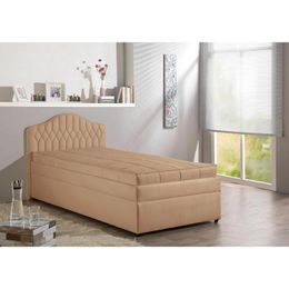 Maintal Polsterbett braun Liegefl&auml;che L&auml;nge B: 200cm x 120cm,mit Fleckschutz,Federkern-Festpolsterung, Federkernmatratze H2