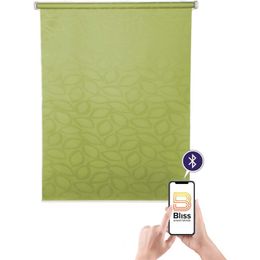 SUNLINES Elektrisches Rollo &raquo;Akkurollo Curves appgesteuert, blickdicht, , wei&szlig;er Fallstab&laquo; blickdicht appgesteuert via Bluetooth gr&uuml;n Kunststoff, 