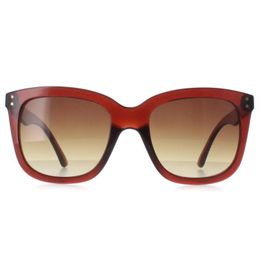 Calvin Klein CK22550S 210 transparente braune Sonnenbrille mit Farbverlauf