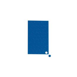 Maul Magnetsymbole Kreis, 50 St./Btl.