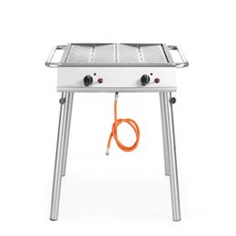 ich-zapfe Gasgrill - aus Edelstahl, 2 Brenner, 540x540 mm Rostfl&auml;che, Abnehmbare Beine, Propangas
