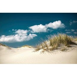 SONSTIGE Bild GRASS ON SAND S