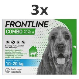 3x Frontline Combo Spot on Hund M Lsg.z.Auft.a.Haut 3 St