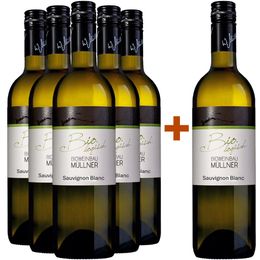 BIO Weinbau M&uuml;llner 5+1 Paket - KG Sauvignon Blanc 2025 Trocken Nieder&ouml;sterreich &ndash; Probierpaket Qualit&auml;tswein