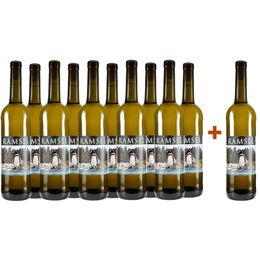 Weingut Ramsel 11+1 Grauer Burgunder Grauburgunder 2025 Feinherb - Pfalz &ndash; Probierpaket Qualit&auml;tswein