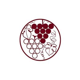 Weingut Ernst-Peter Schilling brut Riesling 2024 Brut - Rheingau &ndash; Perl- & Schaumwein Winzersekt