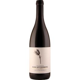 Weingut Michaela Riedm&uuml;ller BLAUFR&Auml;NKISCH 2022 - RIED SPITZERBERG Carnuntum DAC &ndash; Rotwein Qualit&auml;tswein