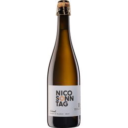 Weingut Nico Sonntag Blanc de Blancs brut Cuv&eacute;e 2020 Brut - Nitteler Gipfel Mosel &ndash; Perl- & Schaumwein Sekt b.A.
