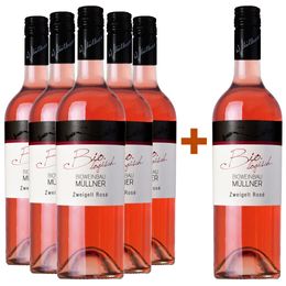 BIO Weinbau M&uuml;llner 5+1 Ros&eacute; Paket - KG Zweigelt 2025 Nieder&ouml;sterreich &ndash; Probierpaket Qualit&auml;tswein