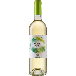 Ronco dei Pini Malvasia Istriana 2025 Trocken - Friaul &ndash; Wei&szlig;wein DOC