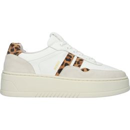 Blackstone GARNET KODA - FL720 White Leopard - Sneaker (niedrig)
