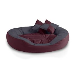 BedDog 4in1 Hundebett SABA gro&szlig;es Hundek&ouml;rbchen abwischbar Hundekissen