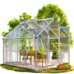 Gardebruk Alu Gew&auml;chshaus 250x190x195cm 2 Dachfenster