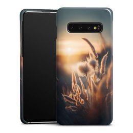 DeinDesign Galaxy S10 Handy Premium Case Smartphone Handyh&uuml;lle Schutzh&uuml;lle gl&auml;nzend Sun Pampasgras Nature Premium Case