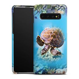 DeinDesign Galaxy S10 Handy Premium Case Smartphone Handyh&uuml;lle Schutzh&uuml;lle gl&auml;nzend Ocean Turtle Animals Premium Case