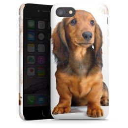 DeinDesign iPhone SE (2020) Handy Premium Case Smartphone Handyh&uuml;lle Schutzh&uuml;lle gl&auml;nzend Dog Dachshund Pet Premium Case