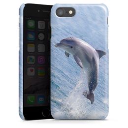 DeinDesign iPhone SE (2020) Handy Premium Case Smartphone Handyh&uuml;lle Schutzh&uuml;lle gl&auml;nzend Dolphin Wale Ocean Premium Case