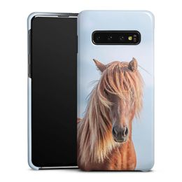 DeinDesign Galaxy S10 Handy Premium Case Smartphone Handyh&uuml;lle Schutzh&uuml;lle gl&auml;nzend Animals Animal Look Horse Premium Case