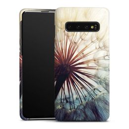 DeinDesign Galaxy S10 Handy Premium Case Smartphone Handyh&uuml;lle Schutzh&uuml;lle gl&auml;nzend Photography Dandelion Flowers Premium Case