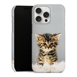 DeinDesign iPhone 15 Pro Max Handy Premium Case Smartphone Handyh&uuml;lle Schutzh&uuml;lle gl&auml;nzend Cat Pet Feather Premium Case