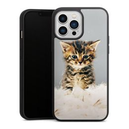 DeinDesign iPhone 13 Pro Max Handy Premium Silikon H&uuml;lle Handyh&uuml;lle schwarz Case Cat Pet Feather Silikon Premium Case