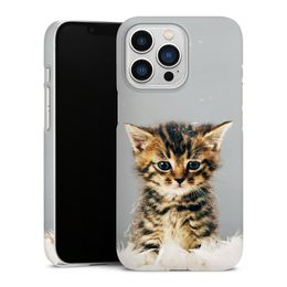 DeinDesign iPhone 13 Pro Handy Premium Case Smartphone Handyh&uuml;lle Schutzh&uuml;lle matt Cat Pet Feather Premium Case