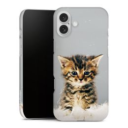 DeinDesign iPhone 16 Plus Handy Premium Case Smartphone Handyh&uuml;lle Schutzh&uuml;lle matt Cat Pet Feather Premium Case