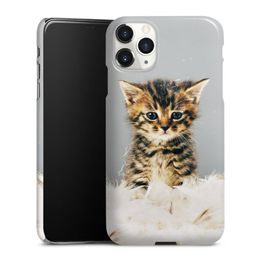 DeinDesign iPhone 11 Pro Max Handy Premium Case Smartphone Handyh&uuml;lle Schutzh&uuml;lle gl&auml;nzend Cat Pet Feather Premium Case