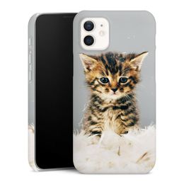 DeinDesign iPhone 12 mini Handy Premium Case Smartphone Handyh&uuml;lle Schutzh&uuml;lle matt Cat Pet Feather Premium Case