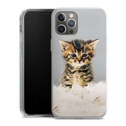 DeinDesign iPhone 12 Pro Max Handy Silikon H&uuml;lle Case transparent Handyh&uuml;lle Cat Pet Feather Silikon Case