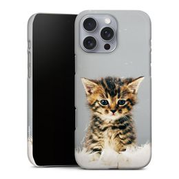 DeinDesign iPhone 16 Pro Max Handy Premium Case Smartphone Handyh&uuml;lle Schutzh&uuml;lle gl&auml;nzend Cat Pet Feather Premium Case