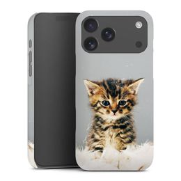 DeinDesign iPhone 17 Pro Max Handy Premium Case Smartphone Handyh&uuml;lle Schutzh&uuml;lle gl&auml;nzend Cat Pet Feather Premium Case