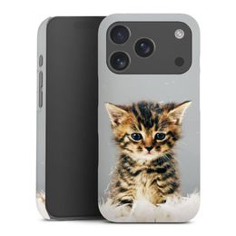 DeinDesign iPhone 17 Pro Handy Premium Case Smartphone Handyh&uuml;lle Schutzh&uuml;lle gl&auml;nzend Cat Pet Feather Premium Case