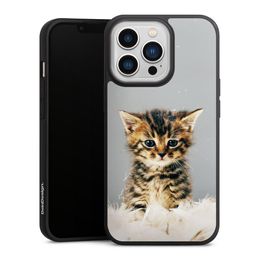 DeinDesign iPhone 13 Pro Handy Premium Silikon H&uuml;lle Handyh&uuml;lle schwarz Case Cat Pet Feather Silikon Premium Case
