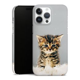 DeinDesign iPhone 14 Pro Max Handy Premium Case Smartphone Handyh&uuml;lle Schutzh&uuml;lle matt Cat Pet Feather Premium Case