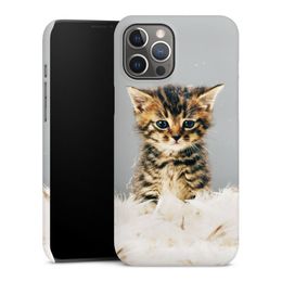 DeinDesign iPhone 12 Pro Max Handy Premium Case Smartphone Handyh&uuml;lle Schutzh&uuml;lle matt Cat Pet Feather Premium Case
