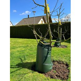 Baumbew&auml;sserungssack, Bew&auml;sserungssack, Baum Bew&auml;sserung - 77 Liter