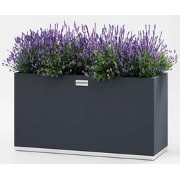 Pflanzk&uuml;bel, Stahl Pflanzk&uuml;bel Rechteckig 100x40x75cm, 300L
